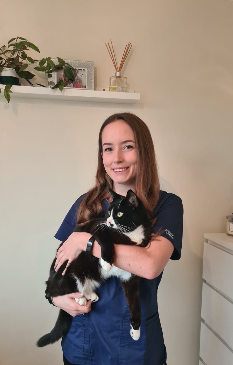 Haven Vets Clacton-on-Sea | Vets Walton-on-the-Naze